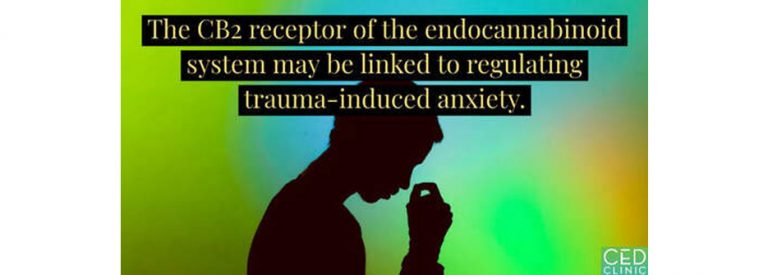 Cannabinoid CB2 Receptors Anxiety and PTSD Regulation