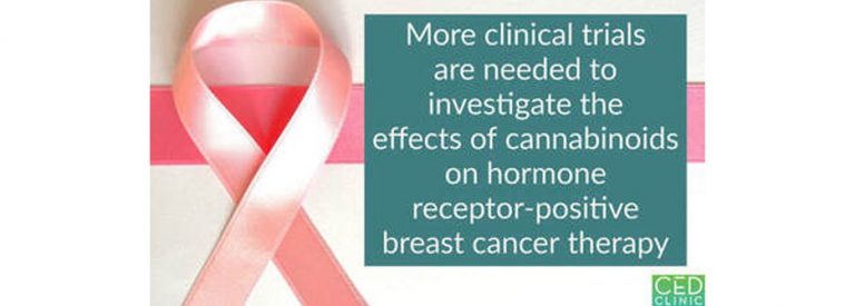 Cannabinoids Hormone Receptor-Positive Breast Cancer Insights