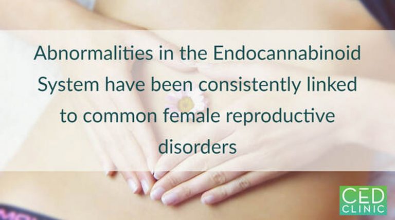 Endocannabinoid System Female Reproductive Disorders Insights
