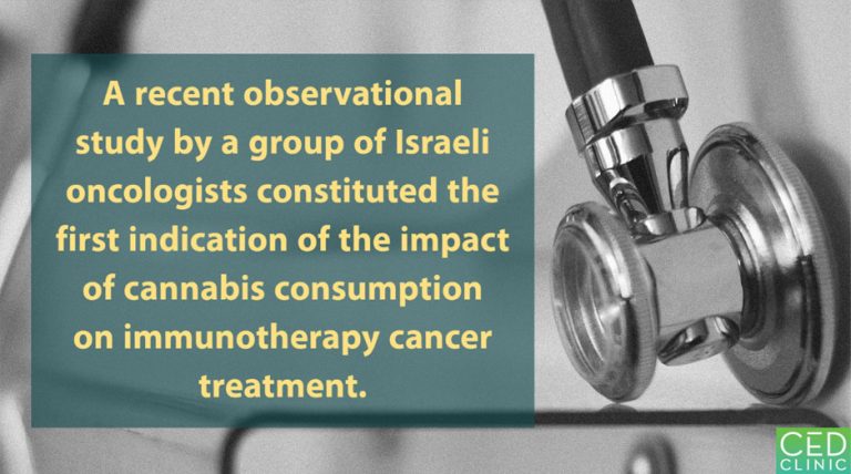 Cannabis Consumption Cancer Immunotherapy and Outcomes