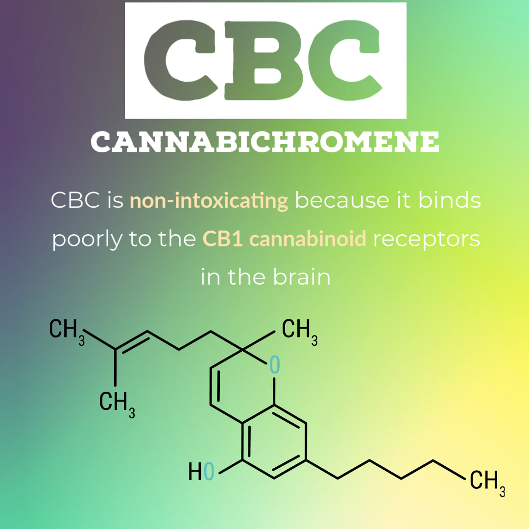 Unique Cannabinoids: Expanding Your Knowledge Beyond THC & CBD - CED Clinic