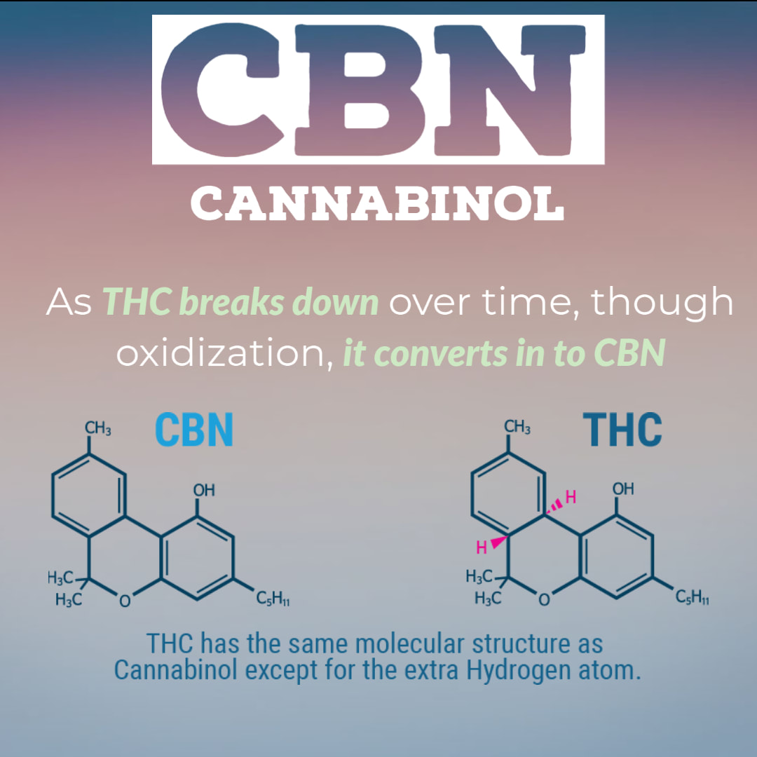 Unique Cannabinoids: Expanding Your Knowledge Beyond THC & CBD - CED Clinic