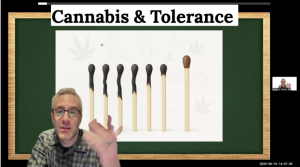 The Truth About Cannabis Tolerance: Not Addiction, Not Damage—Just ...
