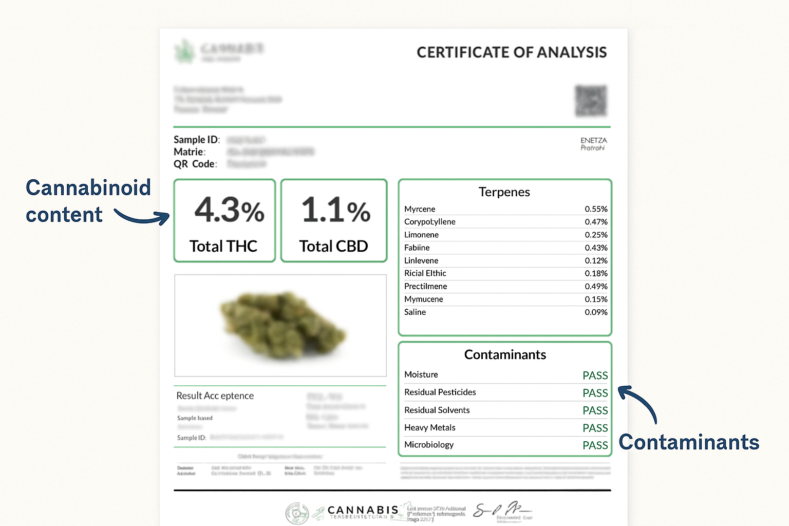 Best High-Potency Cannabis: Smart, Safe, Strong