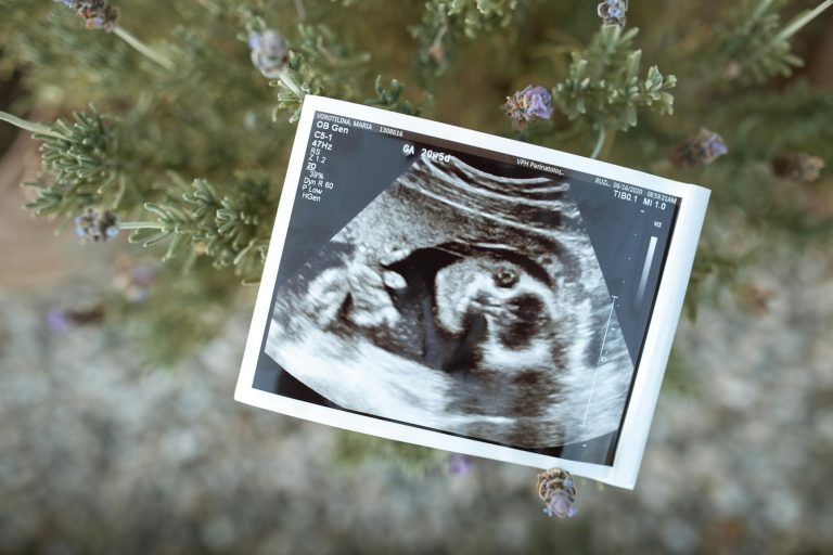 Prenatal Cannabinoid Exposure Reproductive Health Insights