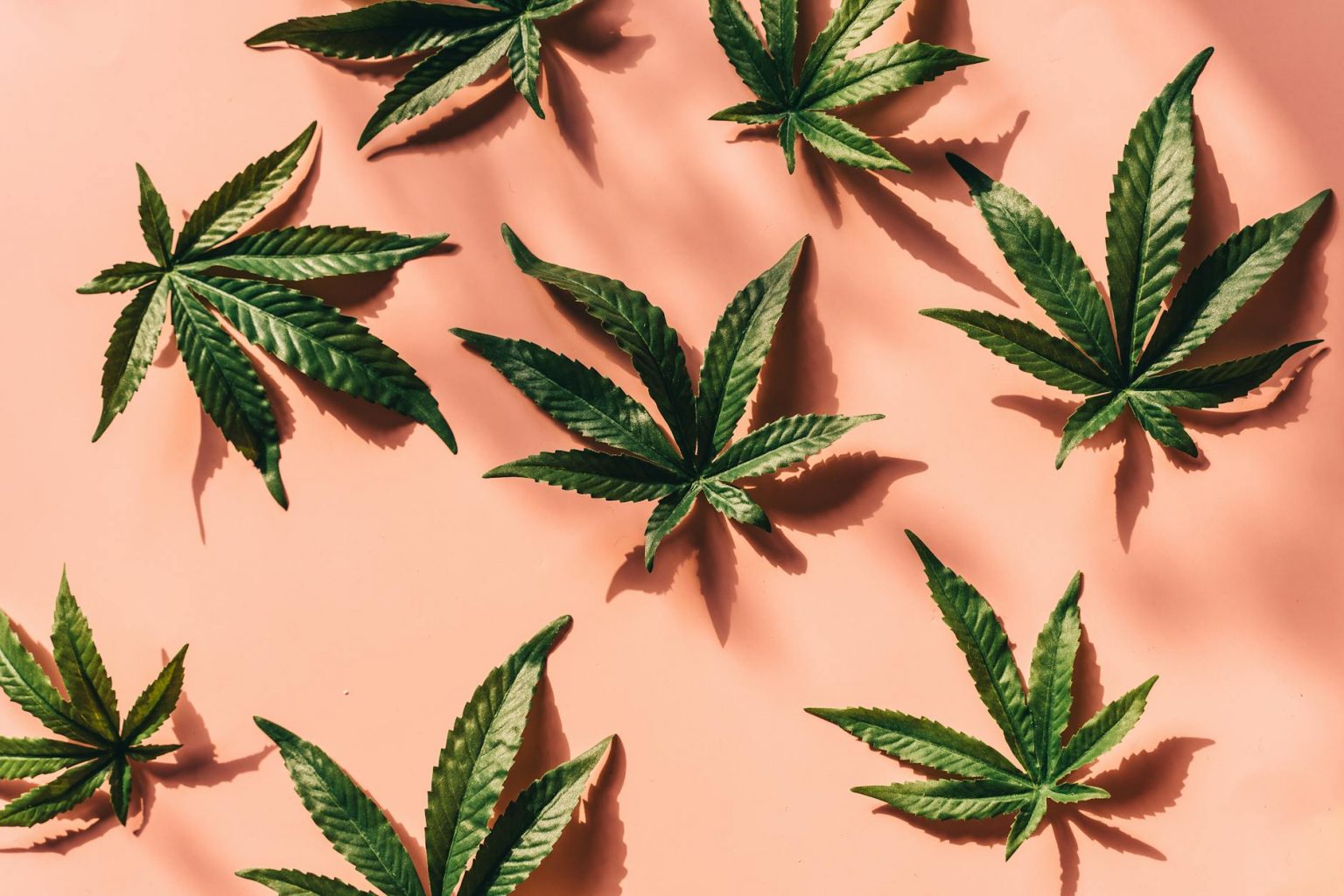 Cannabis Use Patterns Among Young Adults and Health Outcomes