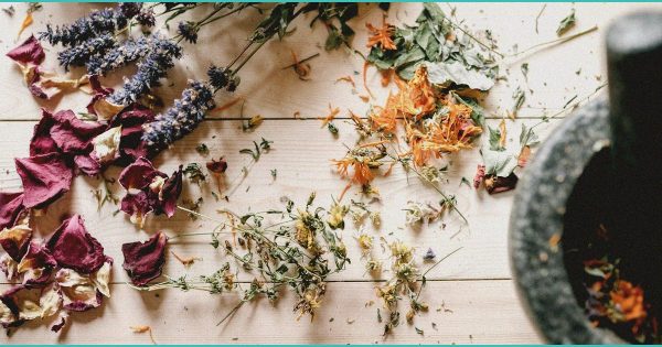Cannabidiol Treatment Resistant Epilepsy: Benefits and Risks