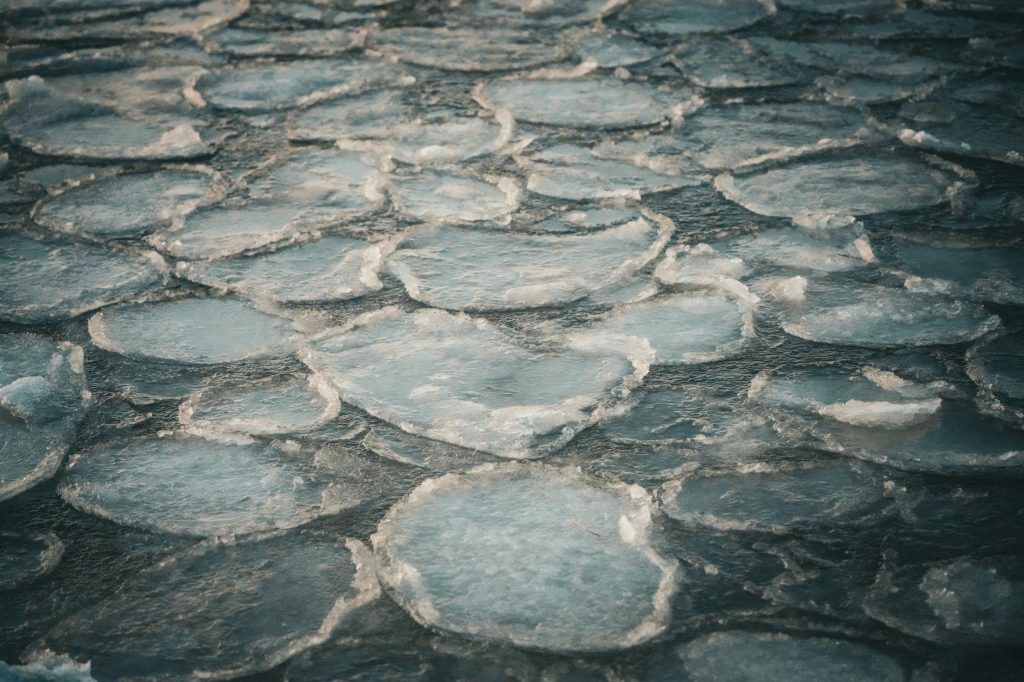 Wim Hof Method Inflammation MS: New Study Insights