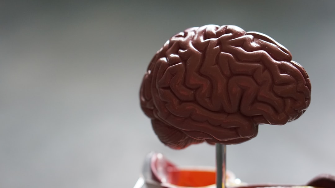 Heavy Cannabis Use Cognitive Effects: Long-Term Brain Impact