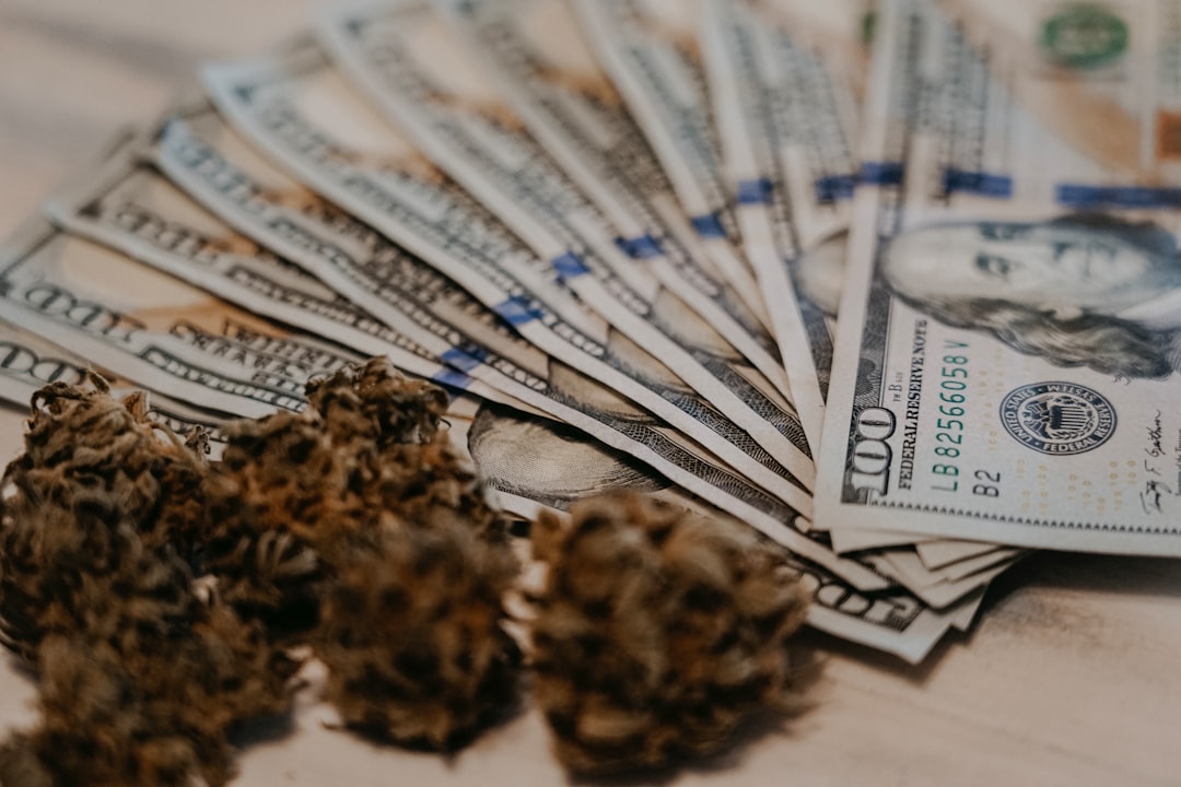 Cannabis Warning Labels: Evidence Gaps Across States